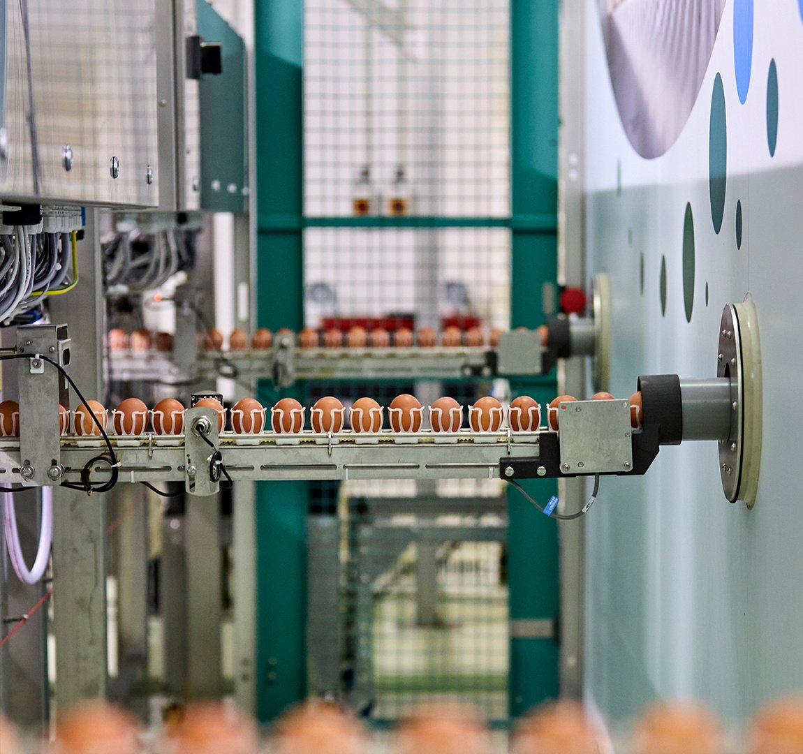 Genus Focus - Vencomatic Group